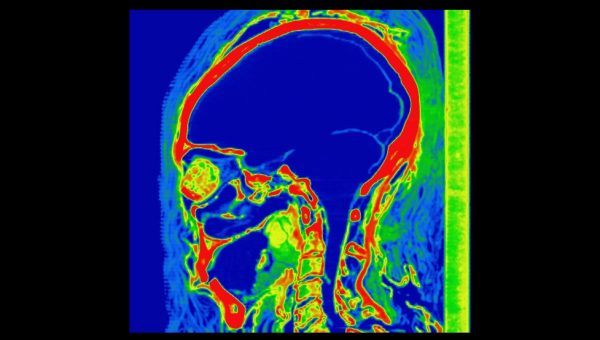 Sofia Aziz – Biomedical Egyptologist, Author, Broadcaster